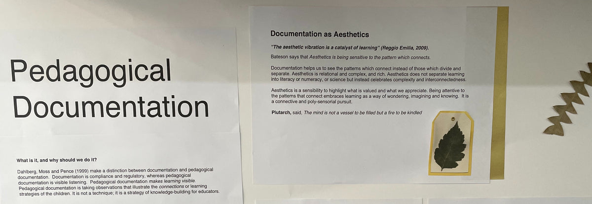 Shifting Frames Of Mind On Observations And Documentation Early